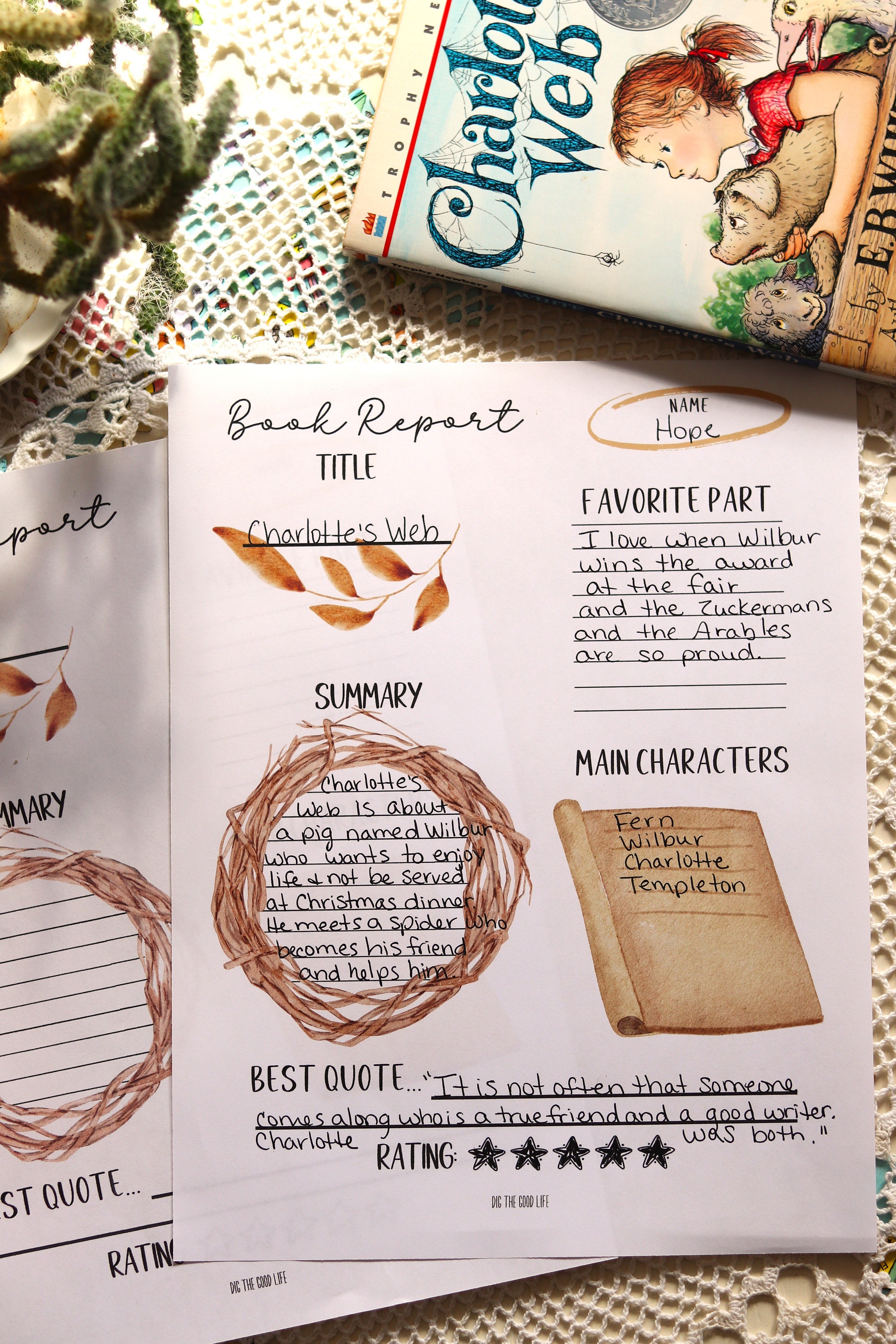 Book Report Printable PDF, Homeschool Book Review Form, Homeschool Book ...