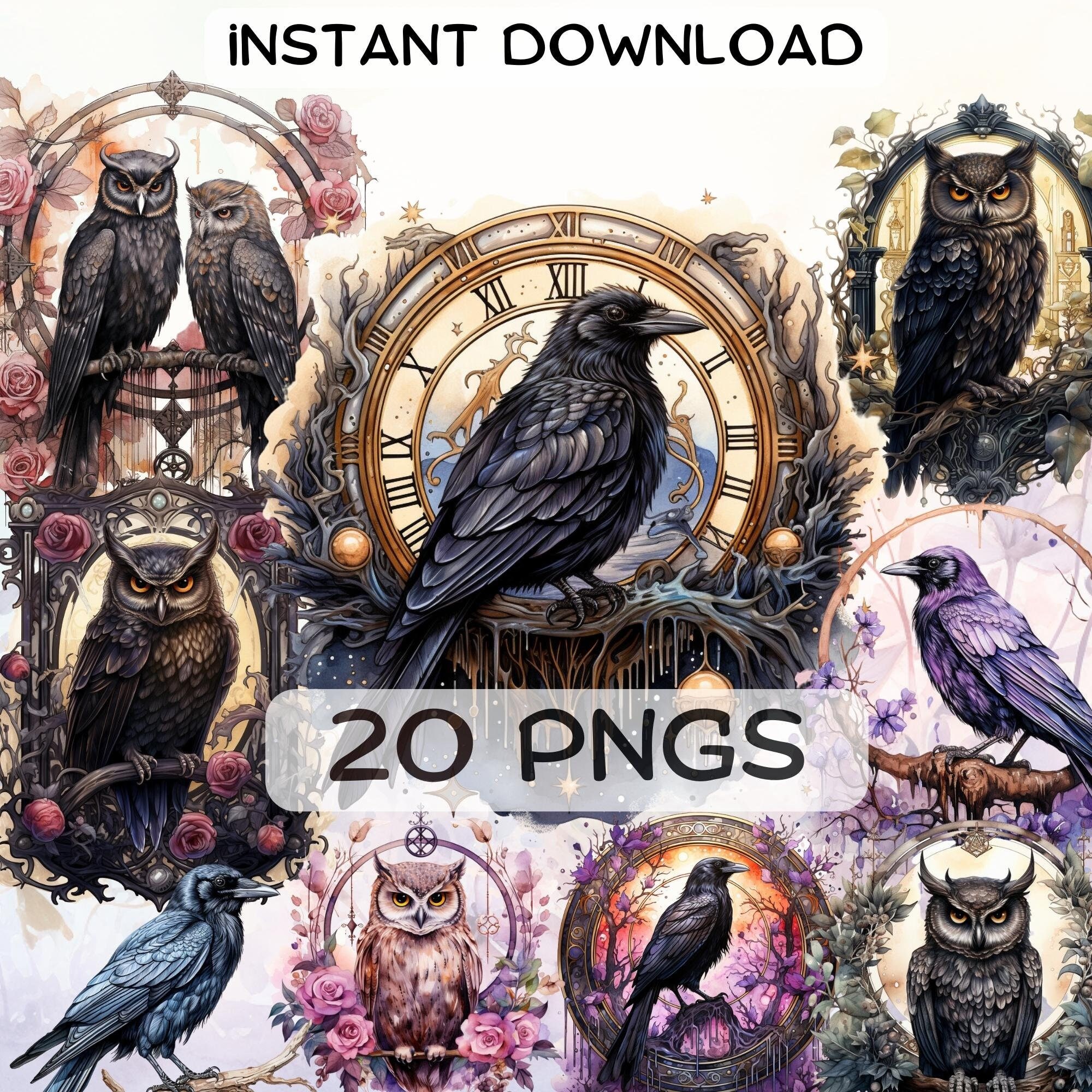 Raven Owl Emblems Clipart 20 Pngs, Watercolor Magic Creature Art ...