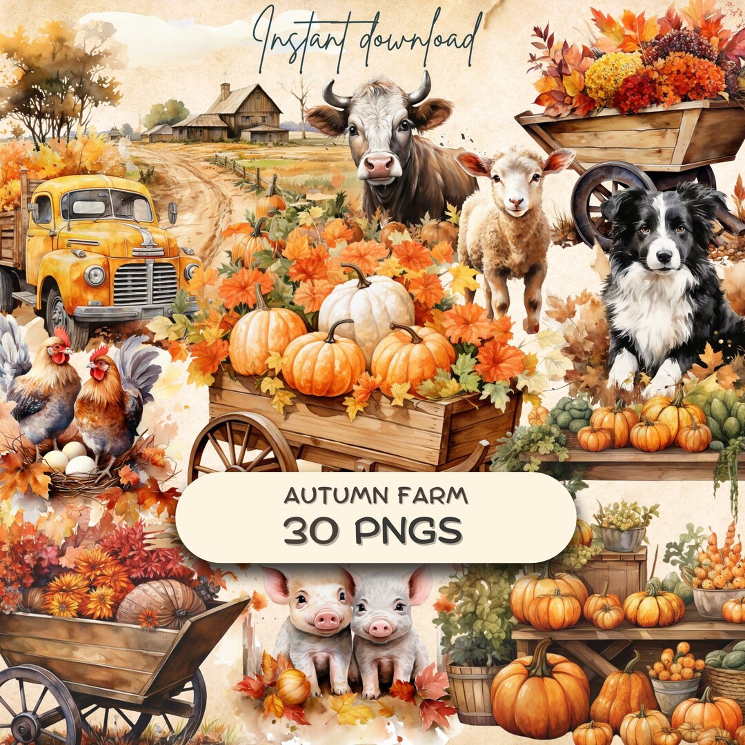 Pumpkin Farm Clipart (30 PNG), Country Supplies + Animals, Autumnal ...