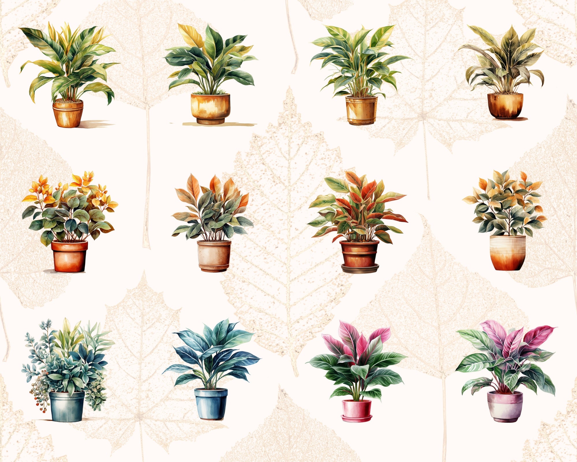 House Plant Watercolor Clipart Botanical Pngs Printable - Etsy