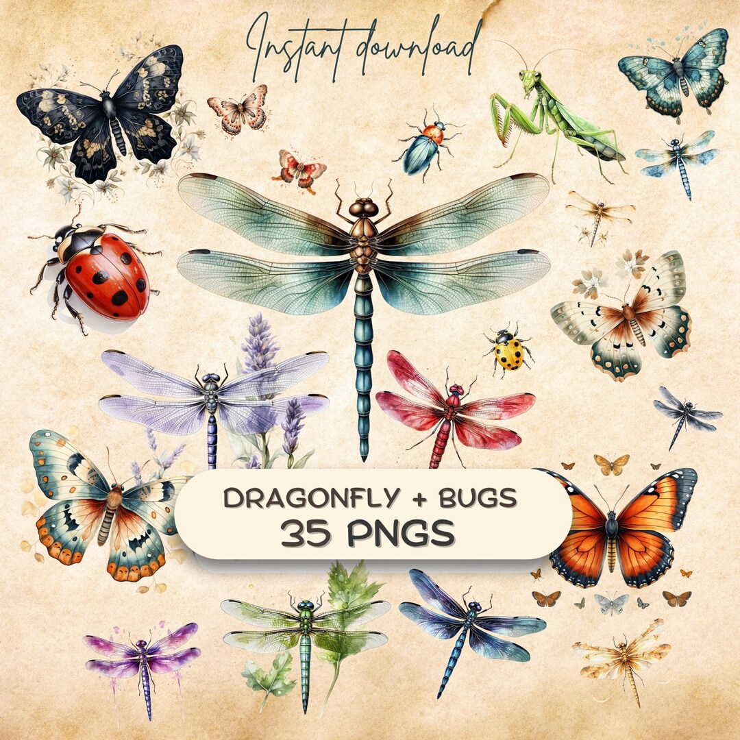 Dragonfly + Bug Clipart Bundle (35 Pngs), Vintage Insect Junk ...