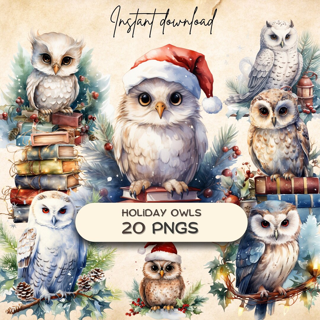 Holiday Owl Clipart (20 Pngs), Christmas Season, Cute Bookish Animals ...