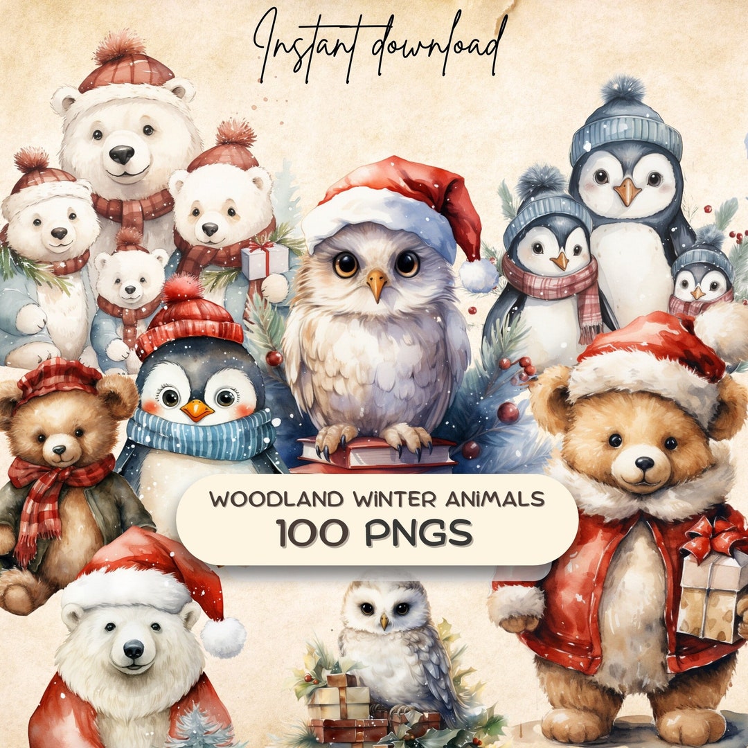 Woodland Winter Animals Clipart Bundle (100 Pngs), Xmas Baby Wildlife ...
