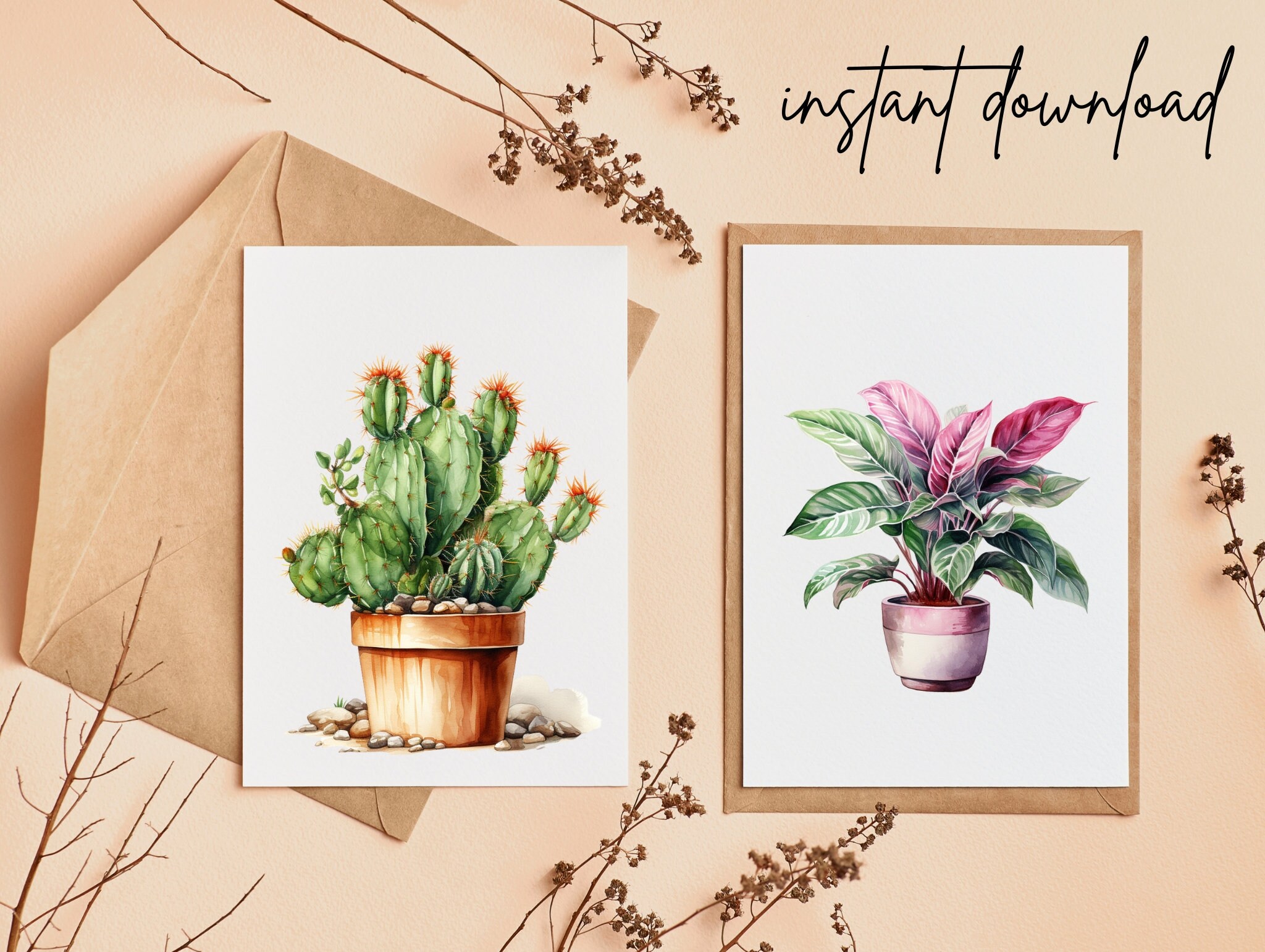 House Plant Watercolor Clipart Botanical Pngs Printable - Etsy