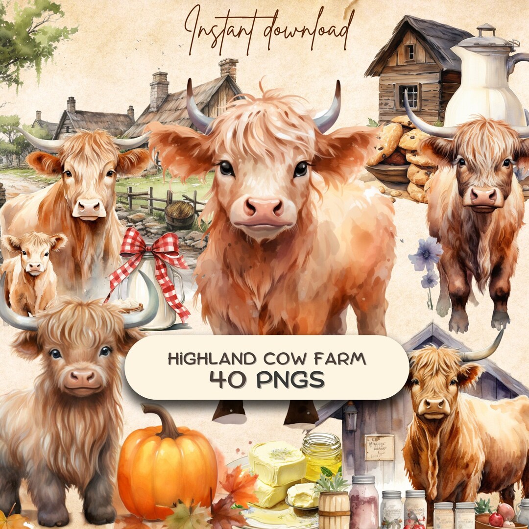 Highland Cow Farm Clipart (40 PNG), Baby Calf Graphic, Rustic Dairy ...