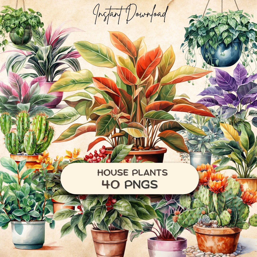 House Plant Clipart (40 PNG), Botanical Scrapbooking, Junk Journal ...