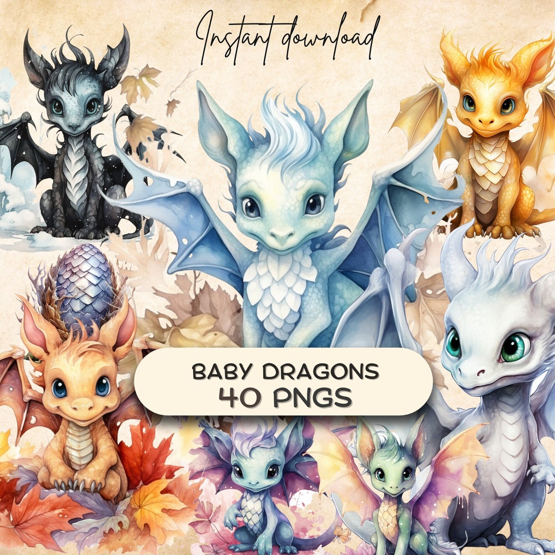 Fantasy Baby Dragons Clipart (40 Pngs), Magic School Animals, Junk ...
