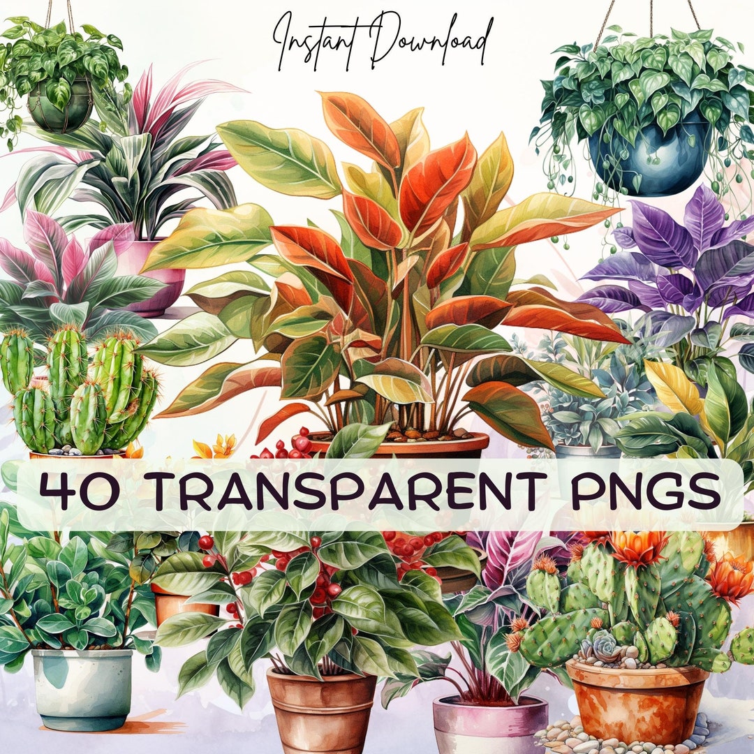House Plant Watercolor Clipart Botanical Pngs Printable - Etsy