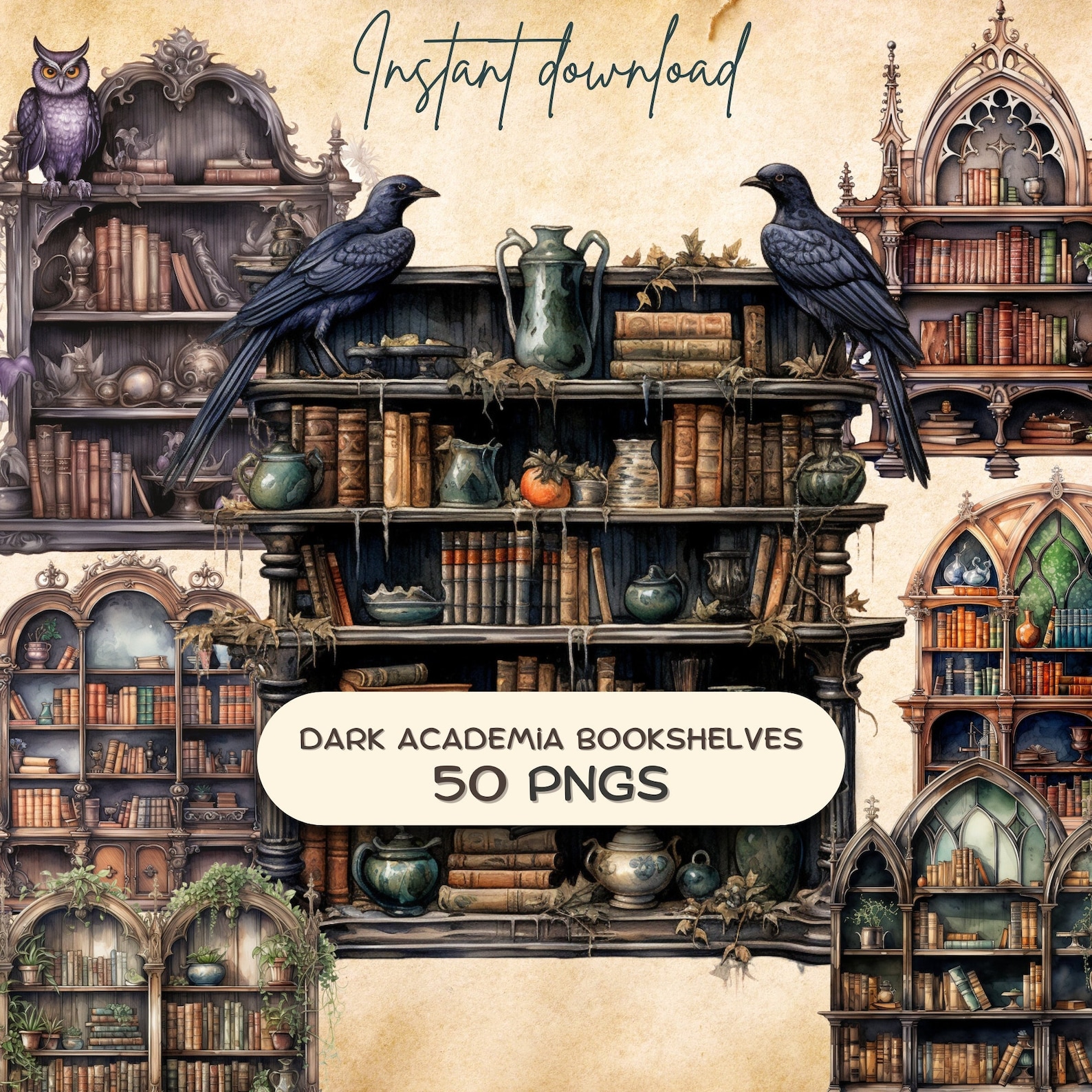 Bewitching Bookshelves Dark Academia Clipart (50 PNG), Victorian Junk ...