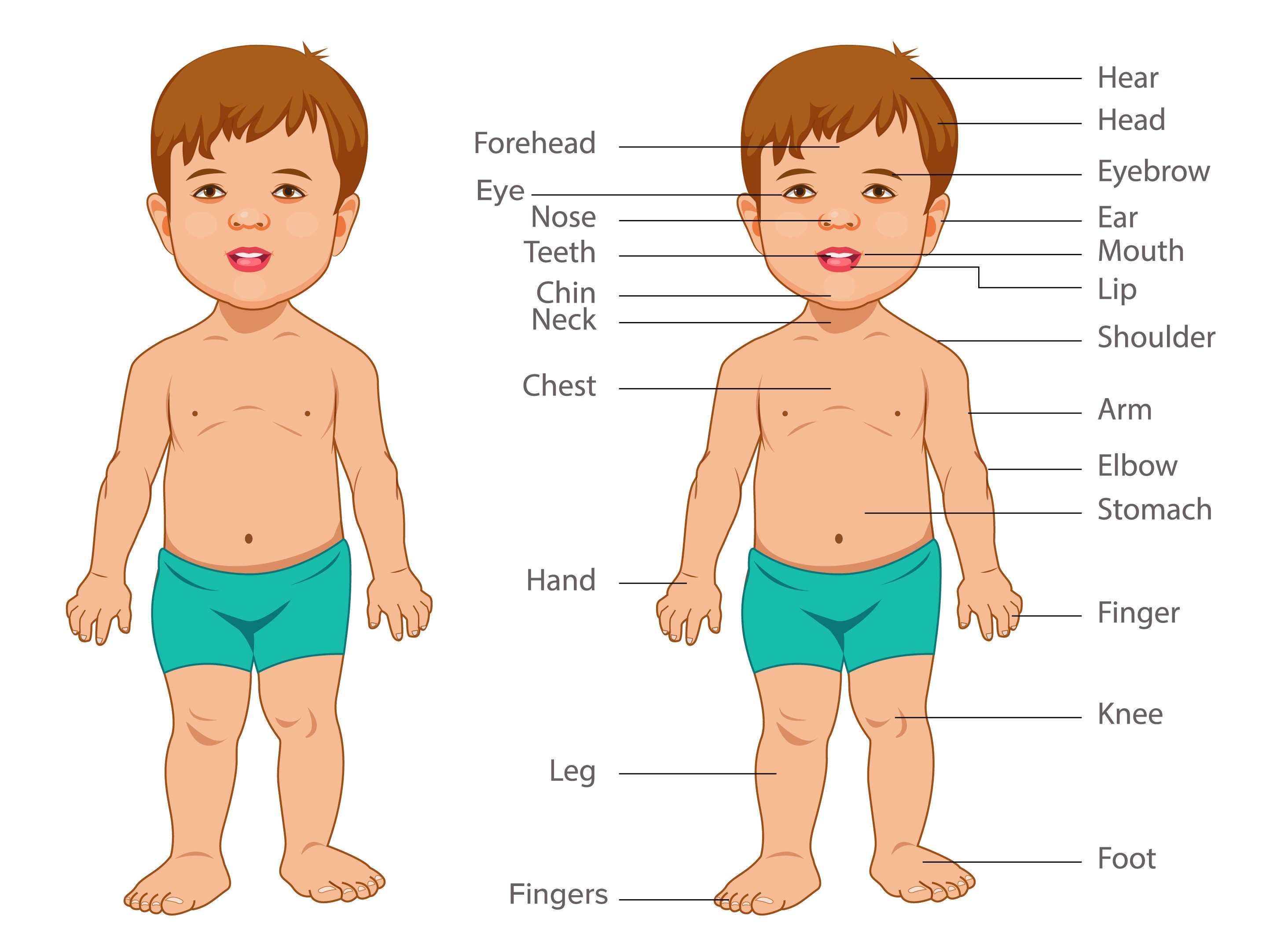 KIDS Clipart and Printables Stickers Png-svg-eps File 60 - Etsy