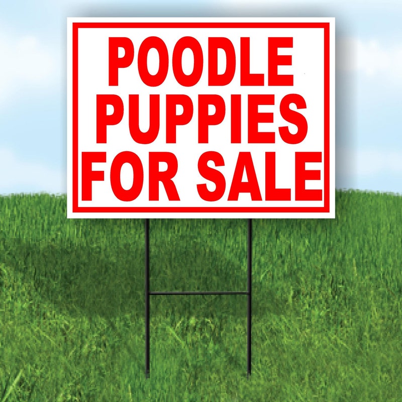 Poodle Sign - Etsy