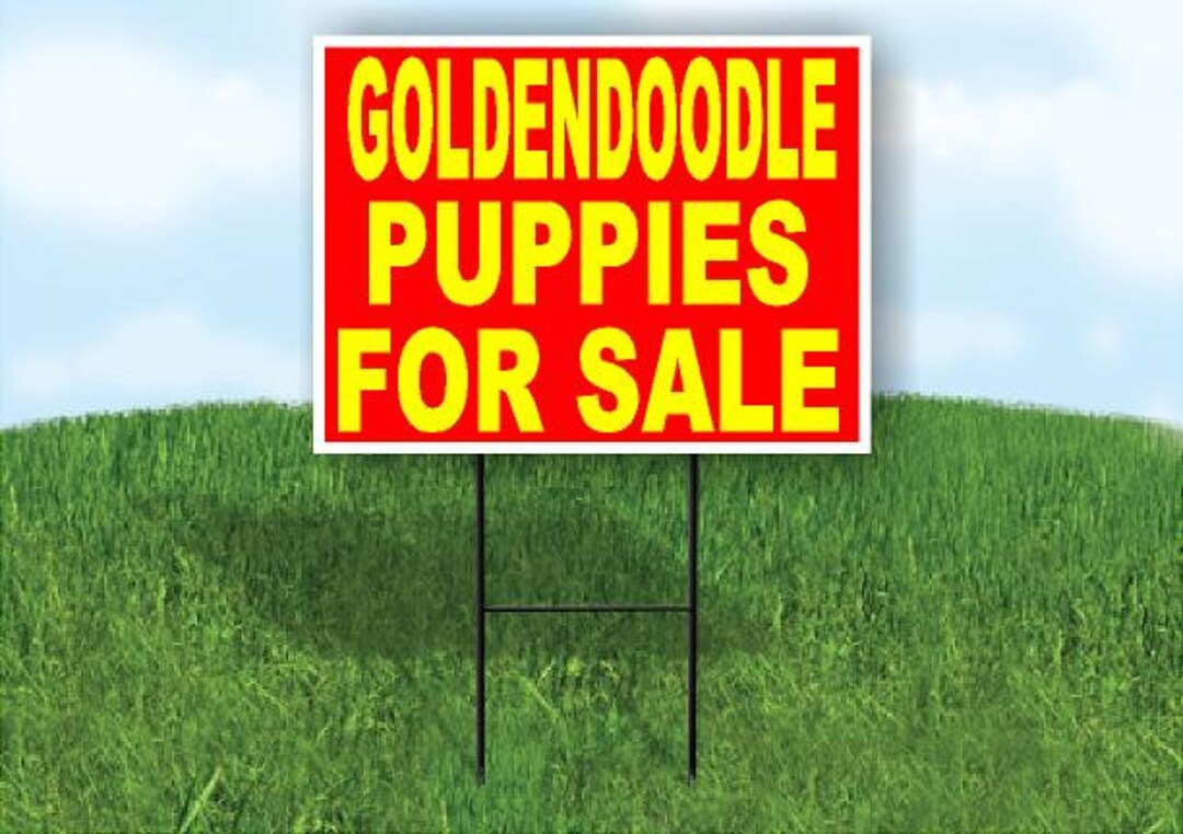 Goldendoodle Puppies for Sale Red and Yellow Yard Sign Road Sign With ...