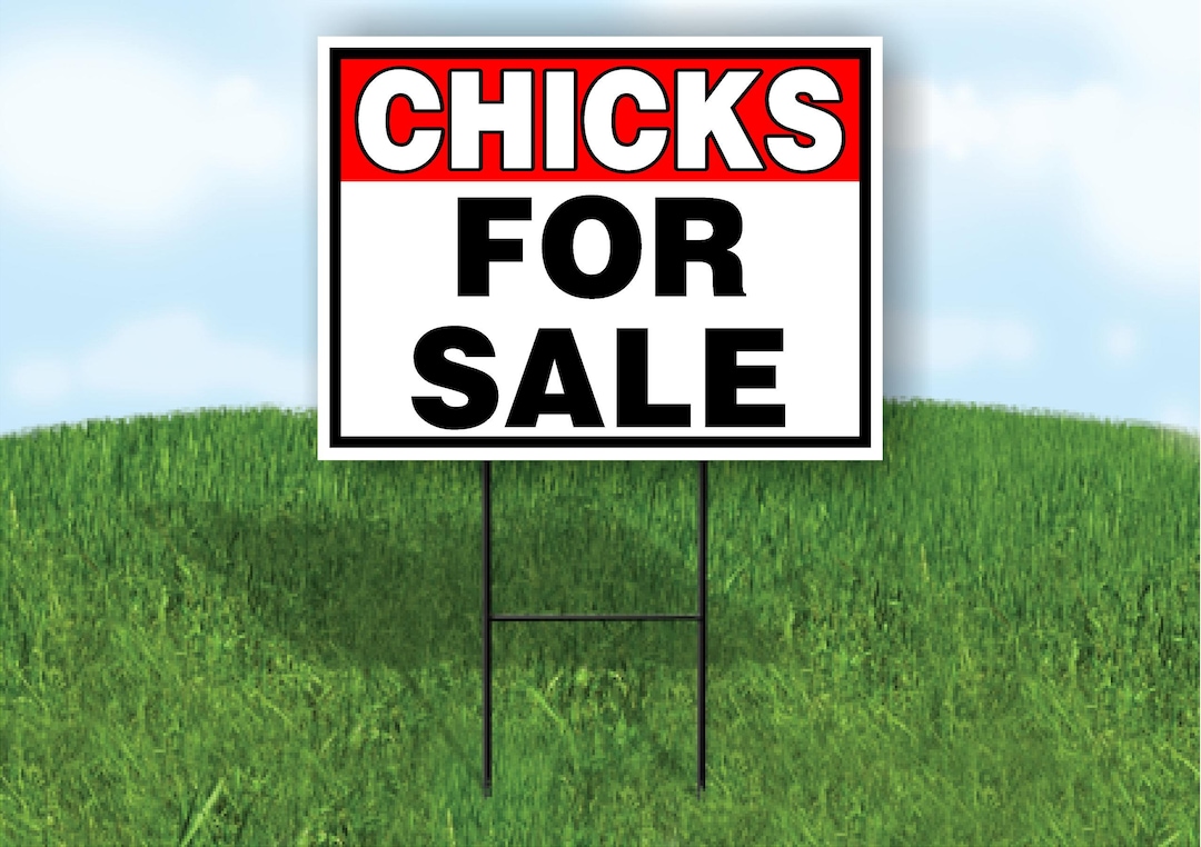 Chicks for Sale Red Black Yard Sign Road Sign With Stand - Etsy