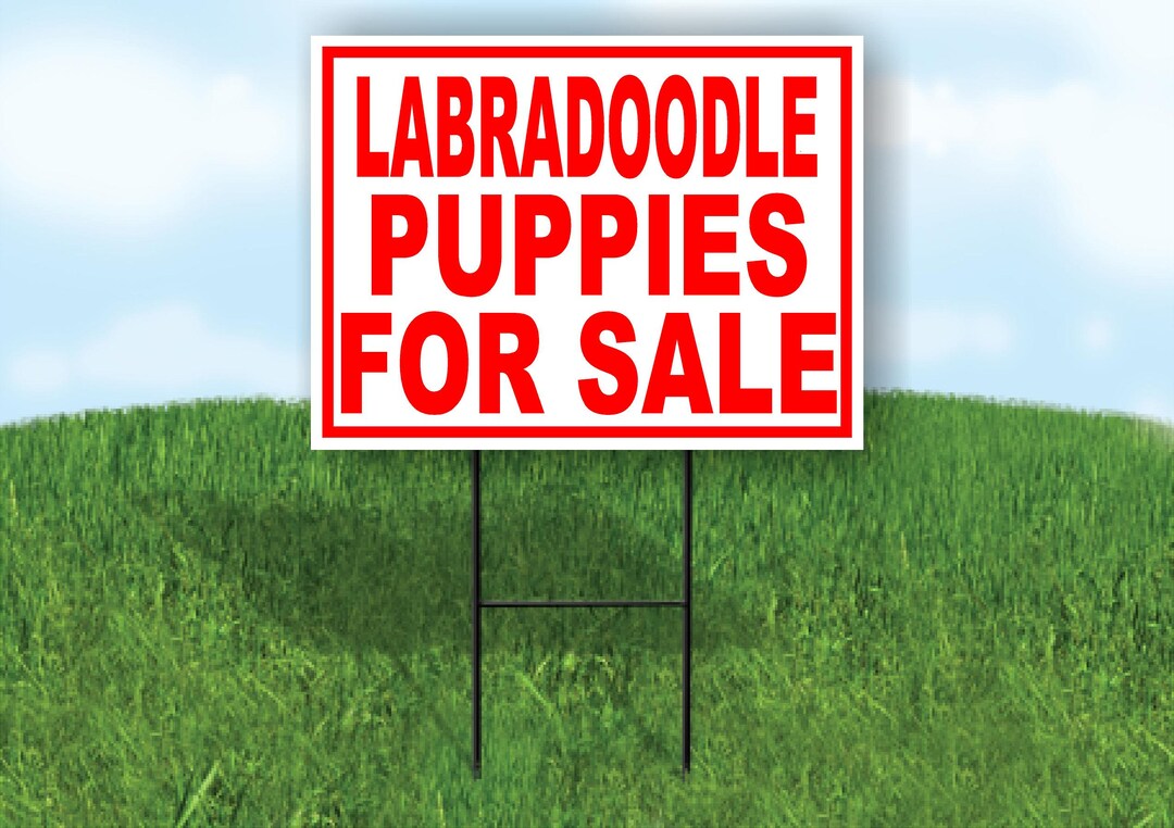 Labradoodle Puppies for Sale Red Yard Sign Road Sign With Stand - Etsy