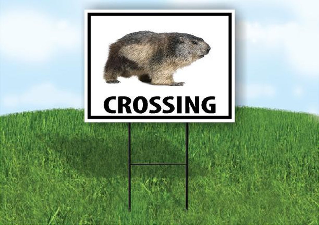 Groundhog Crossing Xing Yard Sign Road Sign With Stand - Etsy