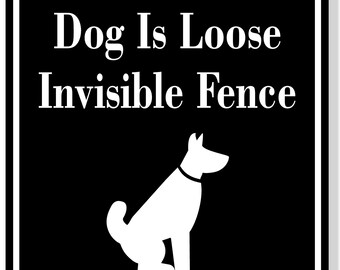 Beware American Staffordshire Terrier Guard Dog Aluminum Composite Sign ...
