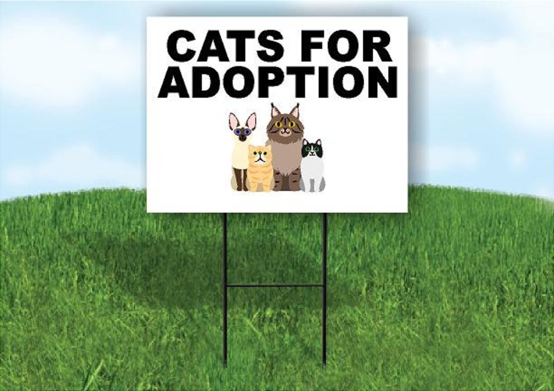 Cats for Adoption With Picture Yard Sign Road Sign With Stand - Etsy