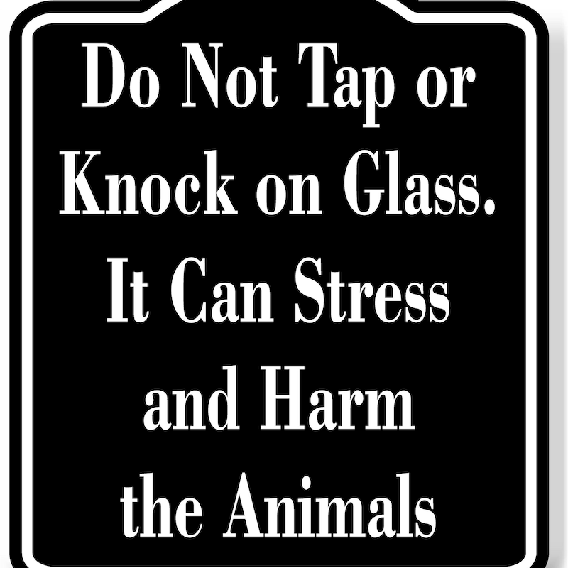 Do Not Tap on Glass Sign - Etsy