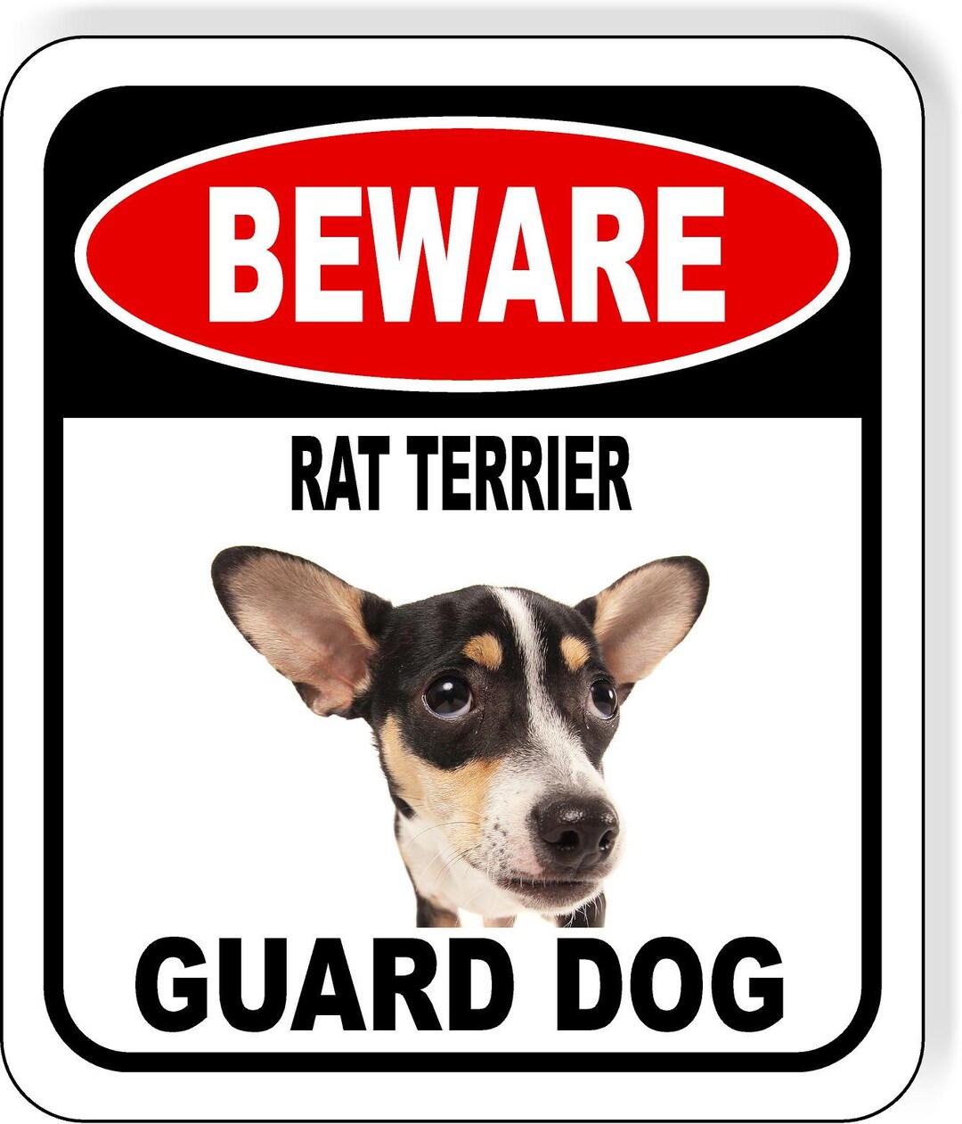 Beware Rat Terrier Guard Dog Aluminum Composite Sign - Etsy