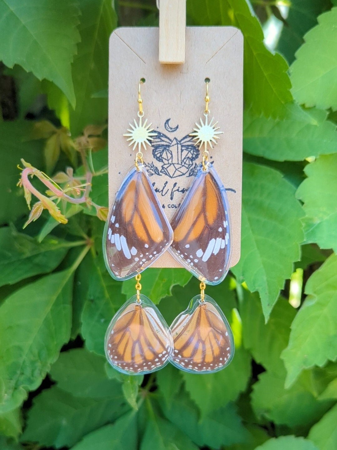 Real Monarch Butterfly Wing Earrings With Gold Sun Accents - Etsy