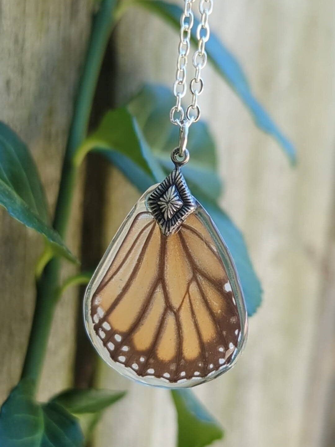 Real Butterfly Wing Necklace Monarch - Etsy