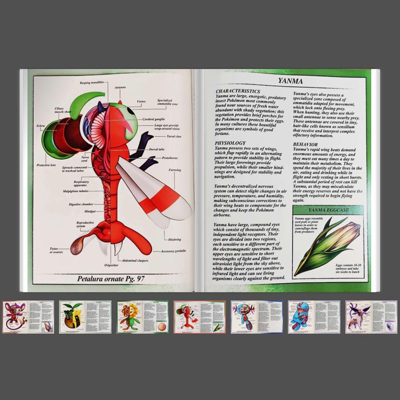 Pokemon Pokenatomy 2 Unofficial Guide Book Pokemon Gifts Pokemon ...