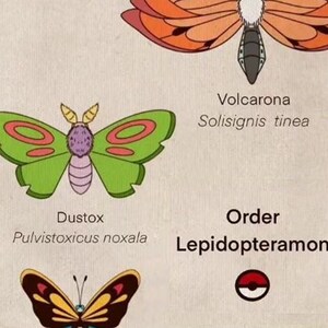 Pokemon Entomology Bug Mounting Pokemon Poster Insect Taxidermy Pokemon ...