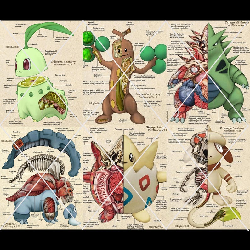 Pokemon Pokenatomy 2 Unofficial Guide Book Pokemon Gifts Pokemon ...