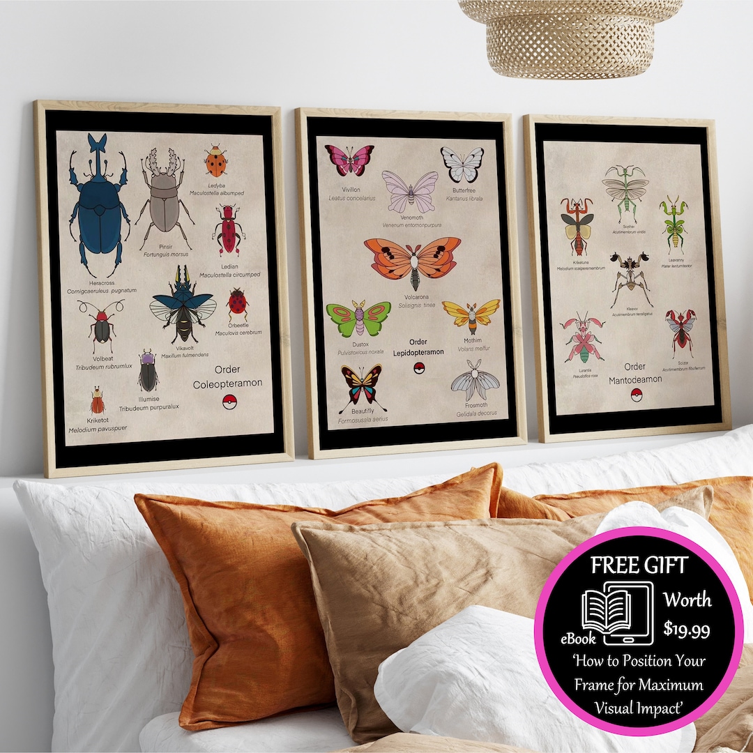 Pokemon Entomology Bug Mounting Pokemon Poster Insect Taxidermy Pokemon ...