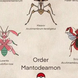 Pokemon Entomology Bug Mounting Pokemon Poster Insect Taxidermy Pokemon ...