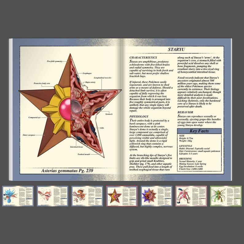 Pokemon Pokenatomy an Unofficial Guide Book Pokemon Gifts Pokemon ...