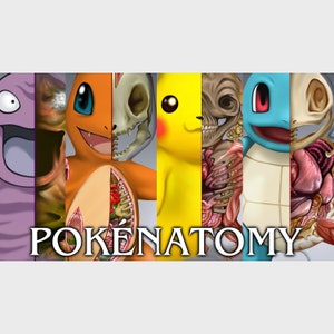 Pokemon Pokenatomy an Unofficial Guide Book Pokemon Gifts Pokemon ...
