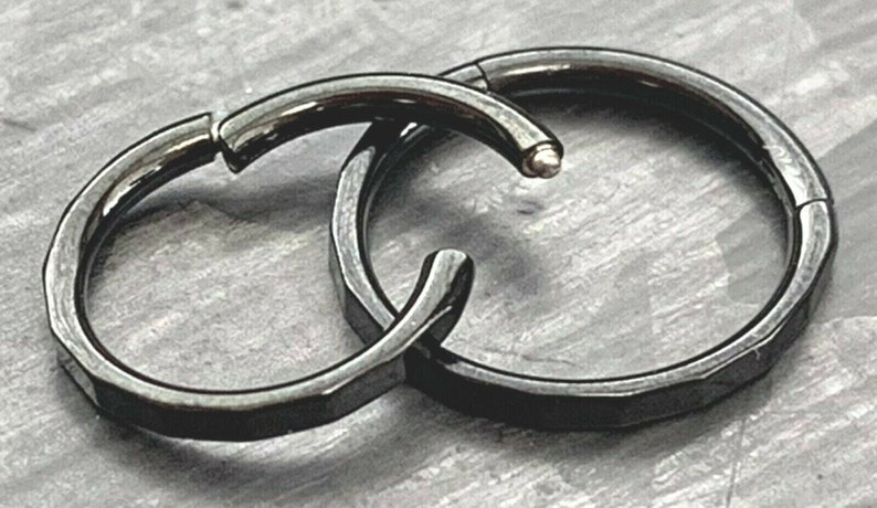 1 Piece Implant Grade Titanium Faceted Hinged Segment Septum Ring ...