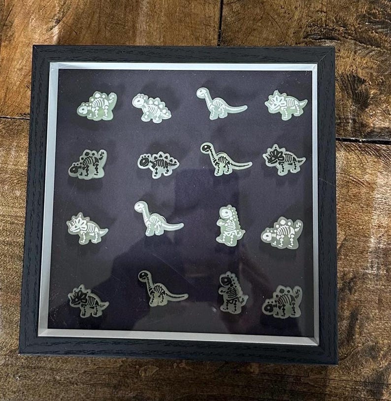 Dinosaur Bones Shadow Box - Room Decor - Etsy