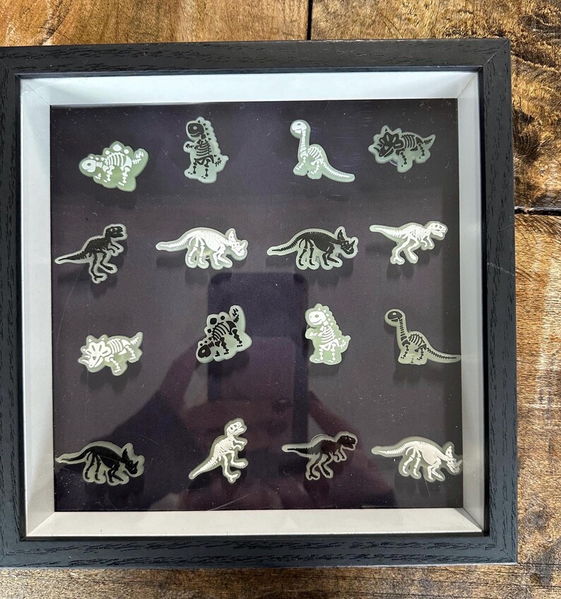 Dinosaur Bones Shadow Box - Room Decor - Etsy