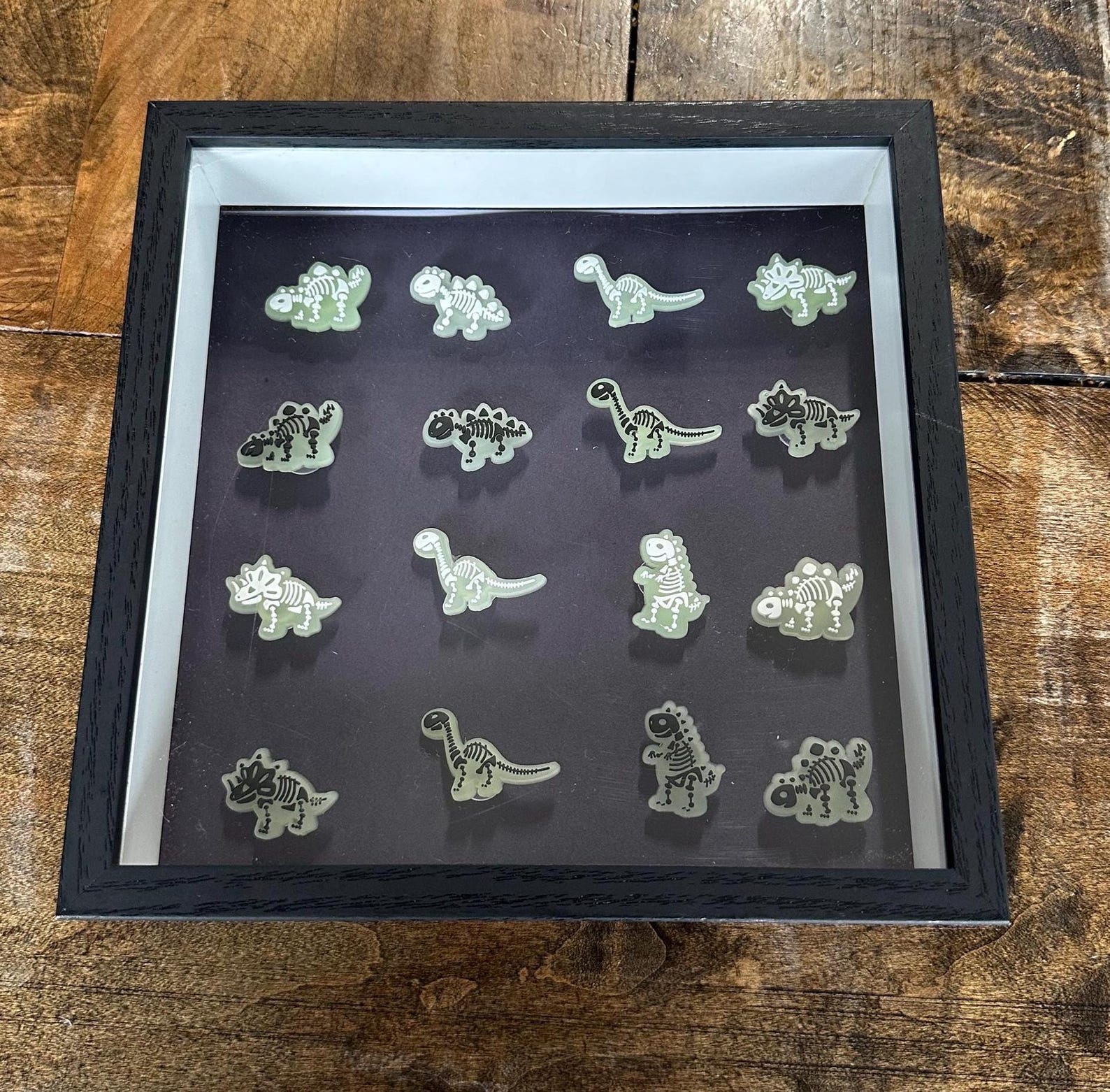 Dinosaur Bones Shadow Box - Room Decor - Etsy