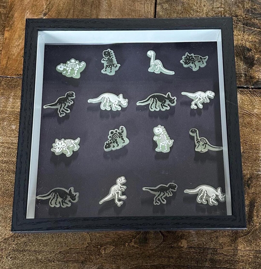 Dinosaur Bones Shadow Box - Room Decor - Etsy