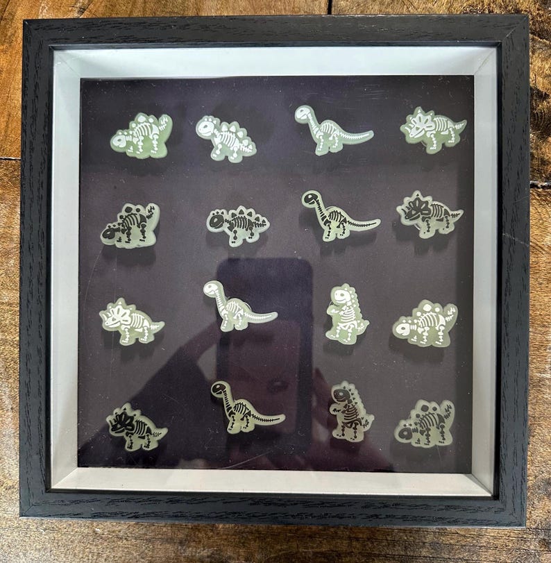 Dinosaur Bones Shadow Box - Room Decor - Etsy