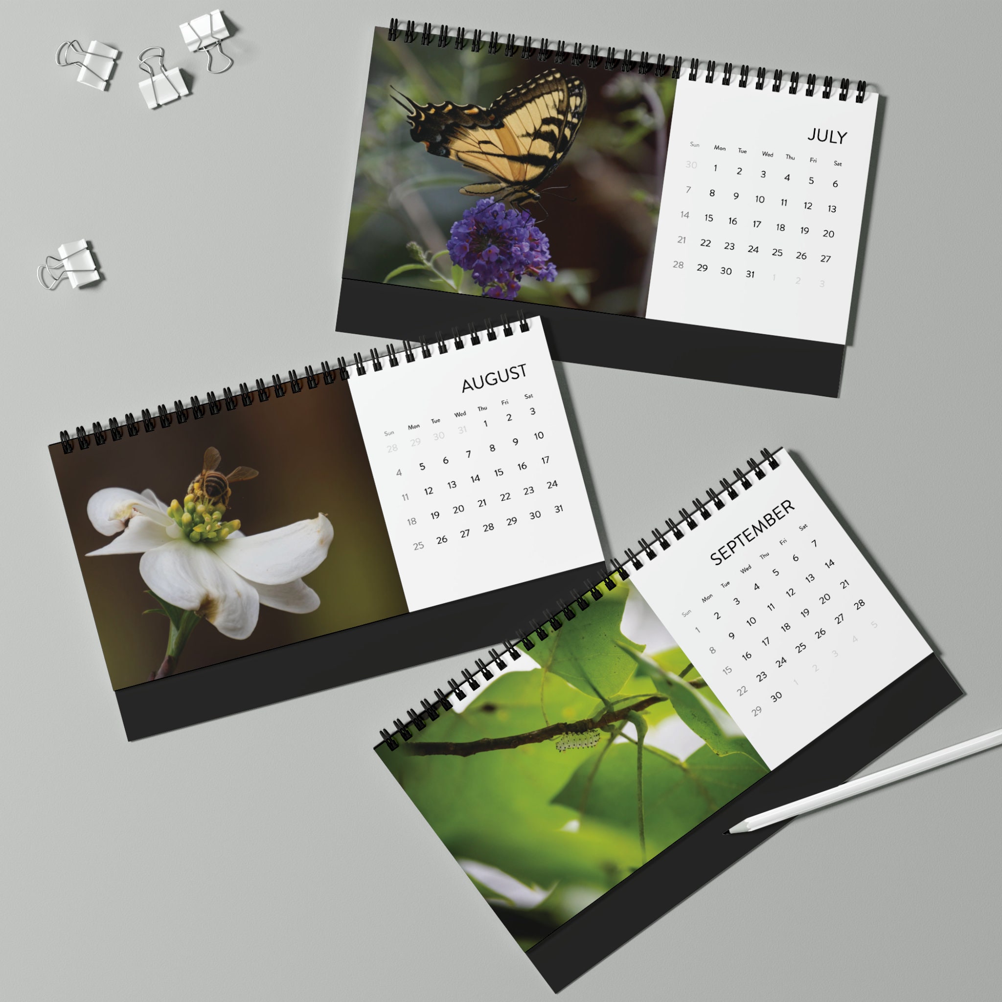 2024 Wildlife Photography Calendar - Butterflies, Bees, Caterpillars ...