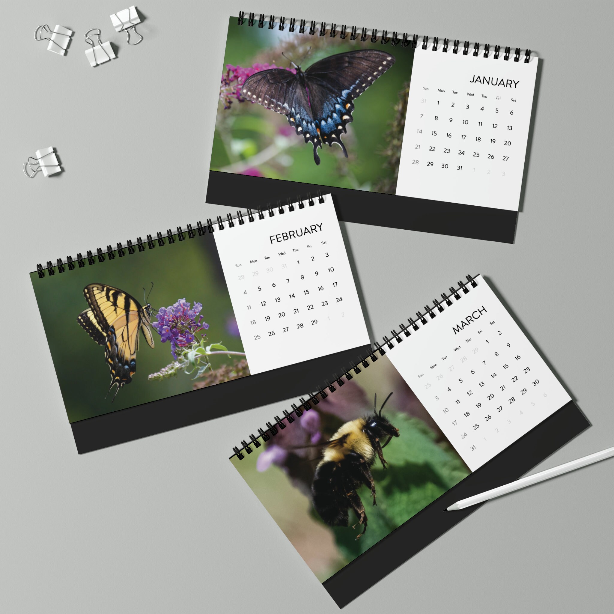 2024 Wildlife Photography Calendar - Butterflies, Bees, Caterpillars ...