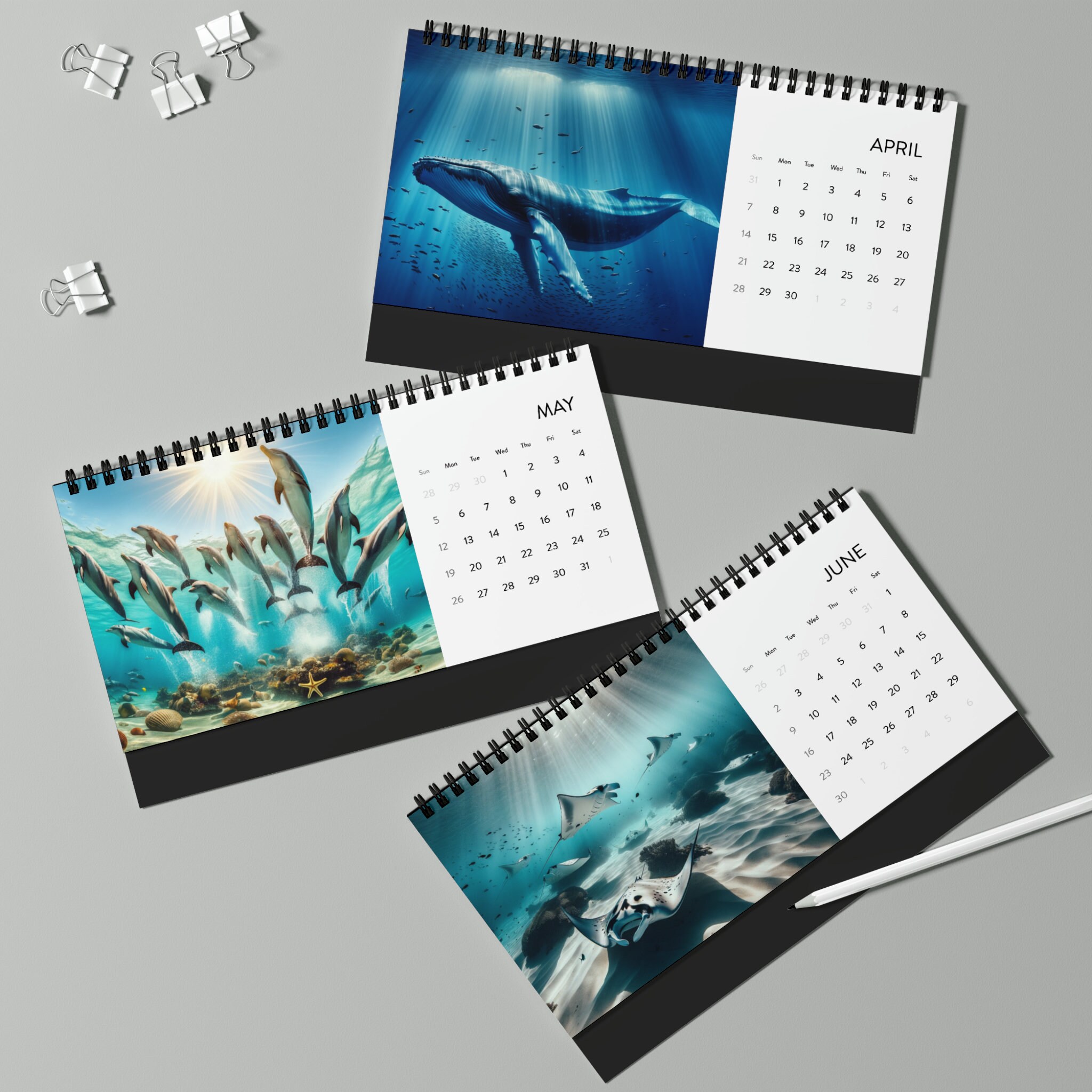2024 Calendar - Underwater Wonders Spiral Calendar, Coral Reefs & Sea ...