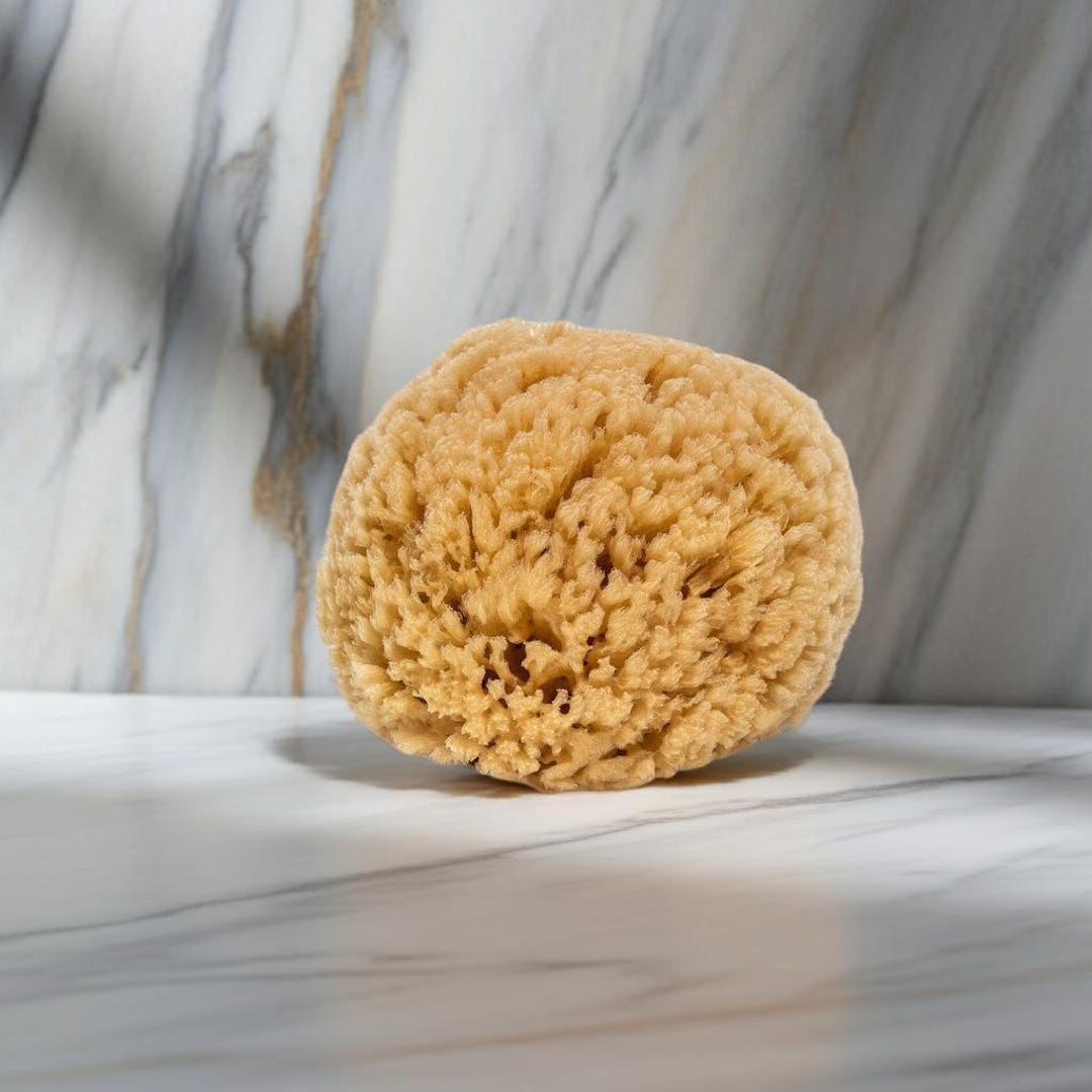 Natural Sea Sponge for Bathing - Large & Soft Hypoallergenic ...
