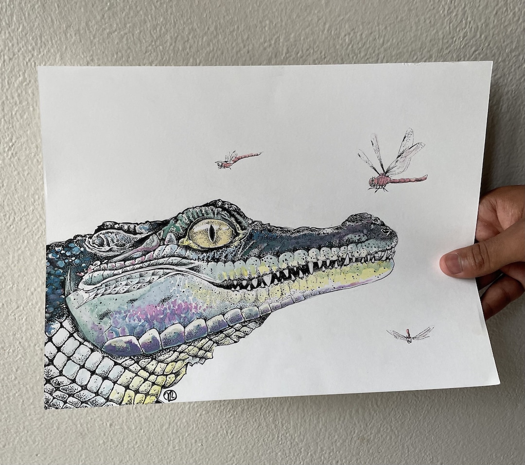 Alligator With Dragonflies | Alligator Animal Art Print | Florida Gator ...