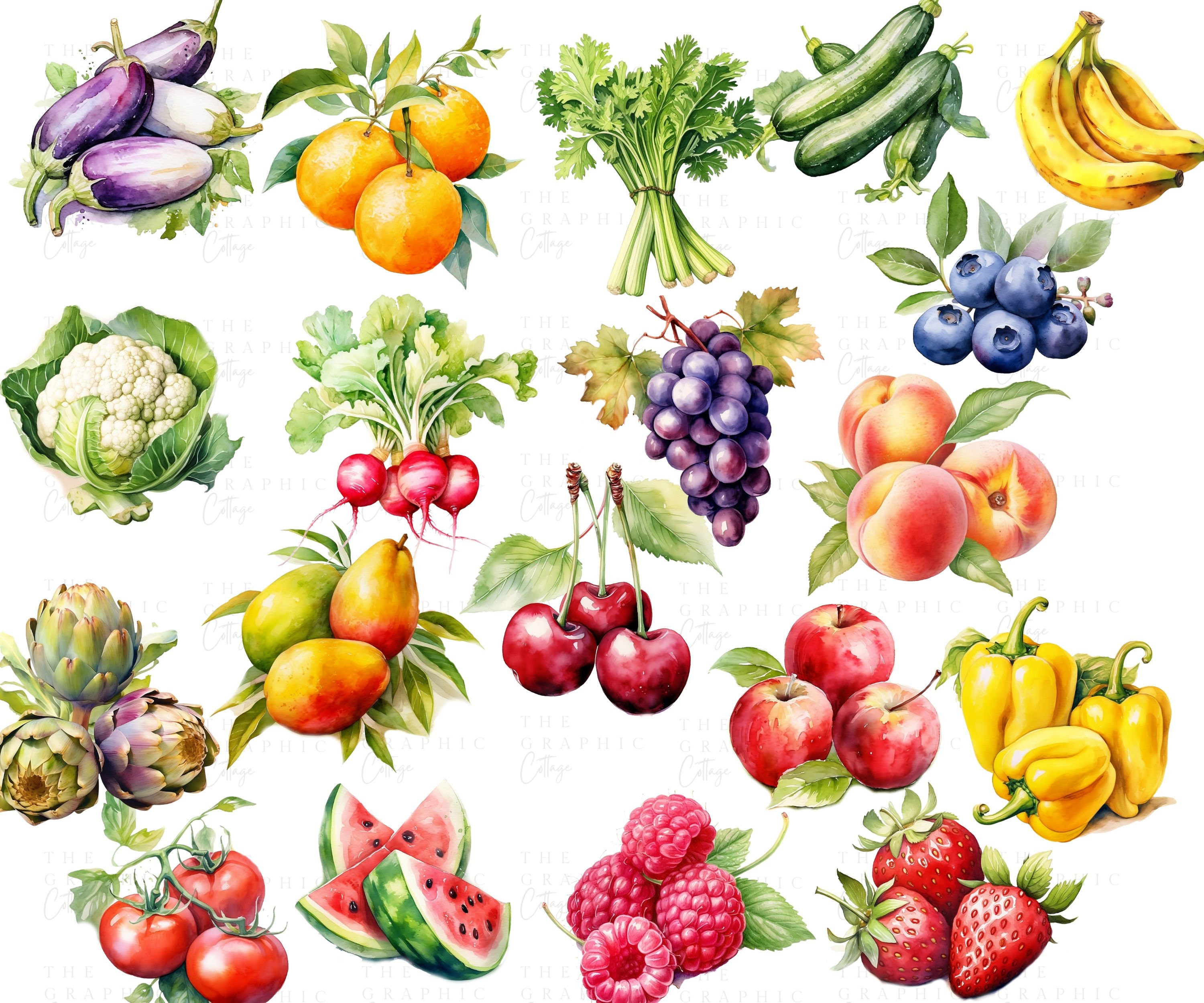 Watercolor Fruits and Vegetables Clipart, Fruit Clipart, Vegetable ...