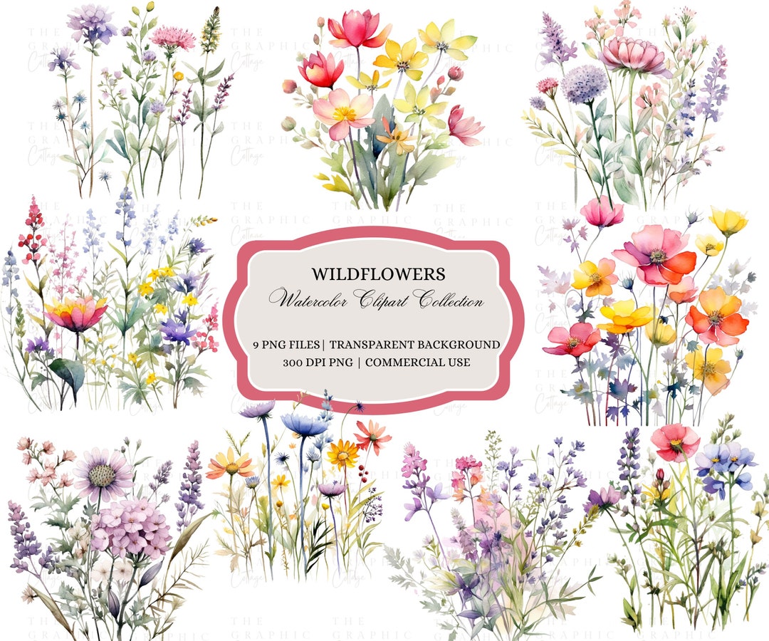 Watercolor Wildflowers Clipart, Wildflowers, Wildflowers PNG ...