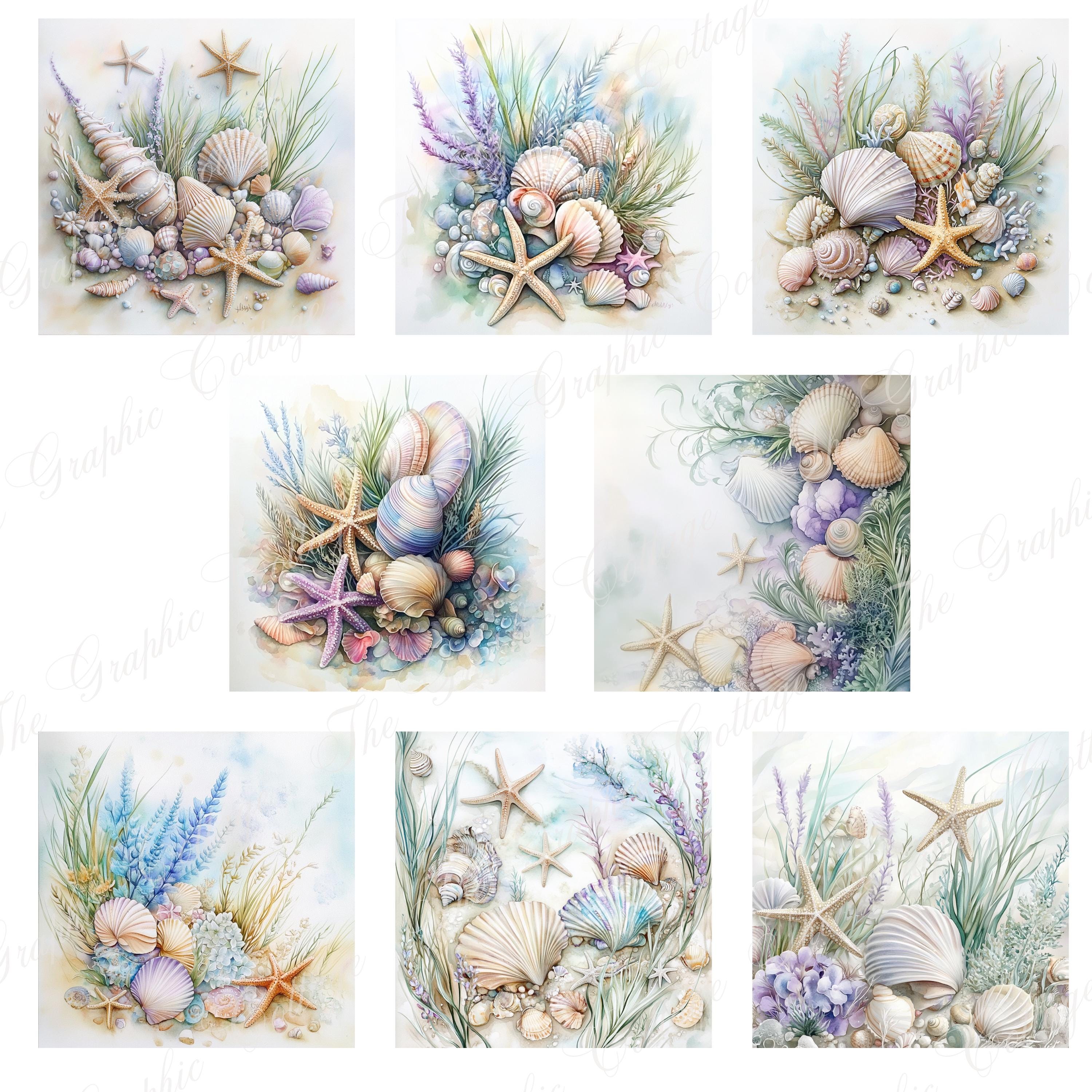 Watercolor Seashells Clipart: PNG Collection (digital Download - Etsy