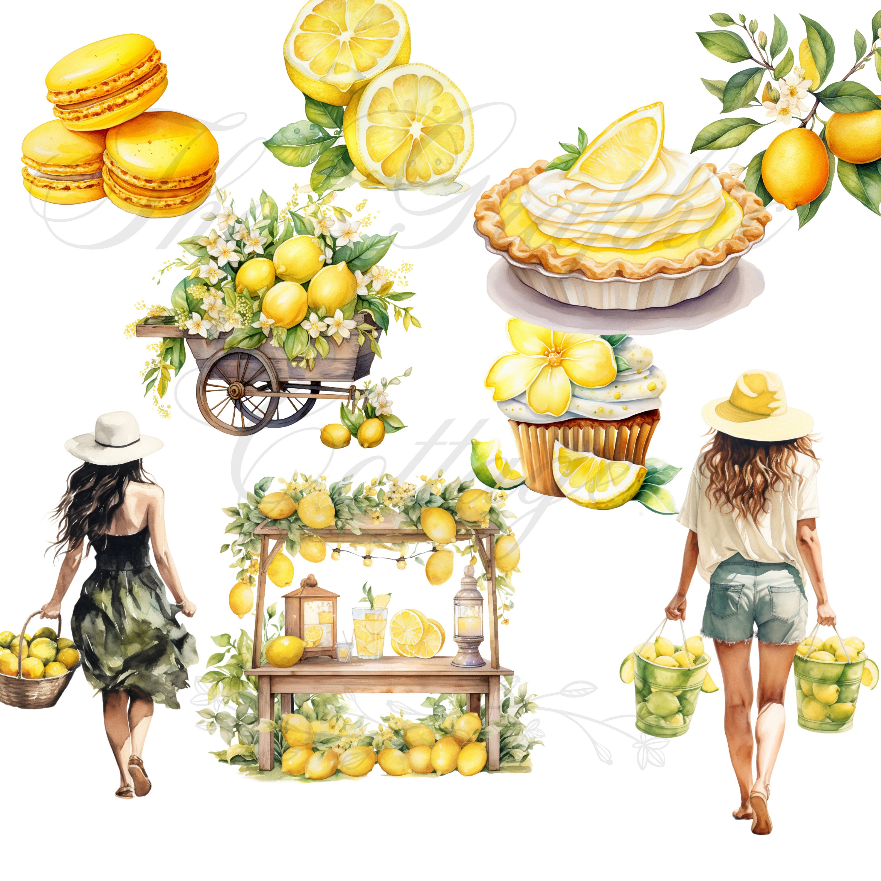 Watercolor Lemons, Lemon Clipart, Lemon Cupcake, Lemon Tree, Lemon Pie ...