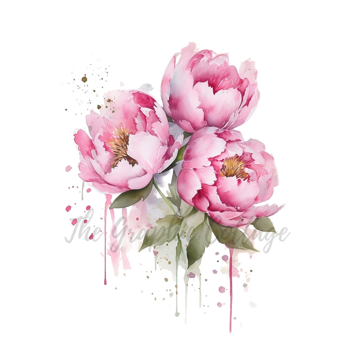 Watercolor Pink Peony Watercolor Clipart Clip Art With Beautiful Peony ...