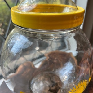 Vintage 1 Gallon Round Glass Solar Tea Jar Vintage Sun Tea - Etsy