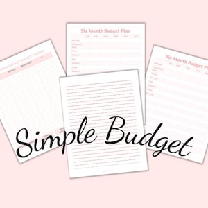 Simple Budgeting With Pretty Printable Sheets - Etsy